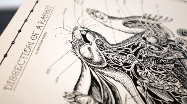 OUT NOW: "The Dissection Of A Rabbit" - Anatomy Sheet NO.6 ...