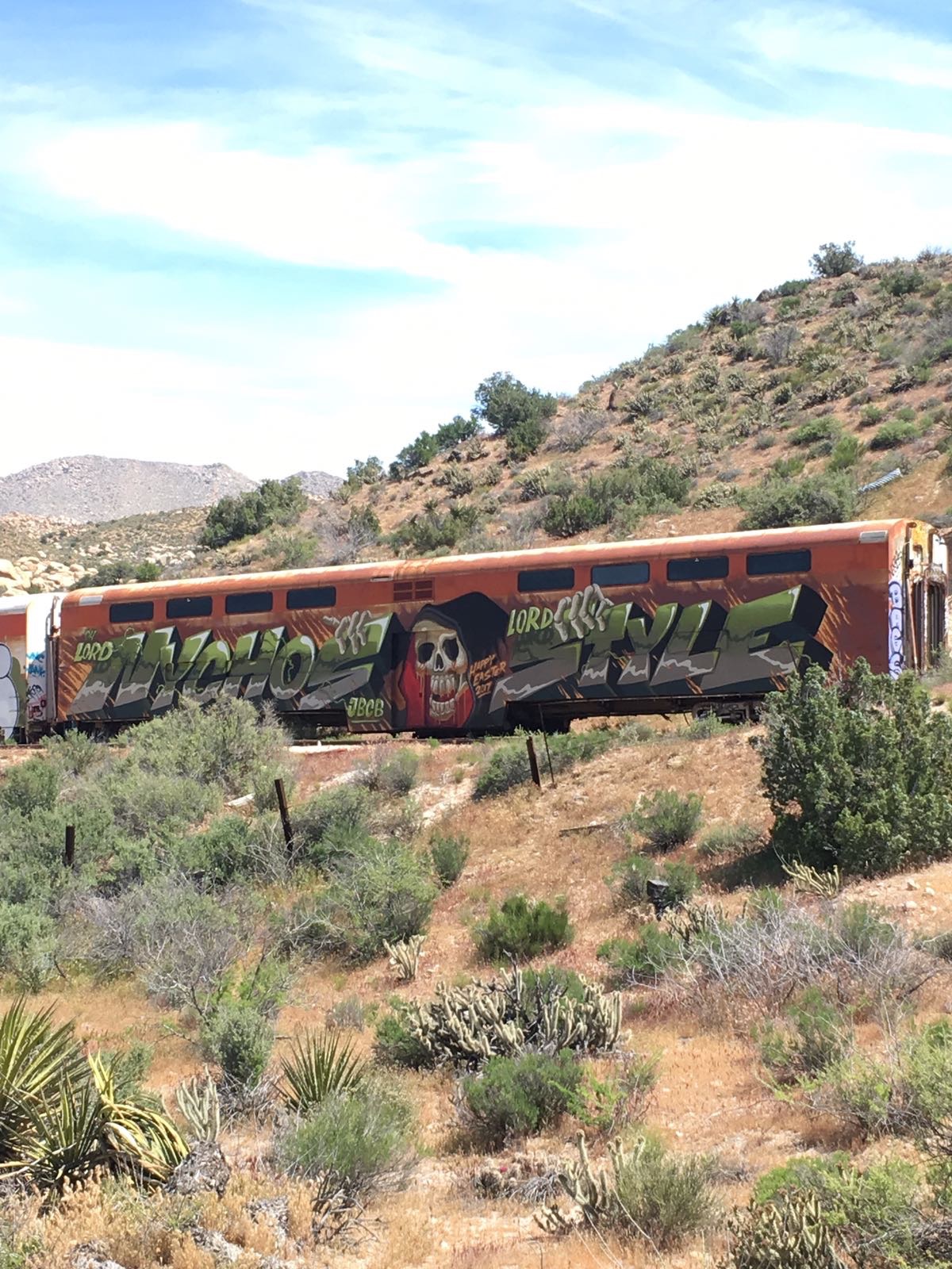 OPERATION DESERT EAGLE - rabbiteyemovement.at