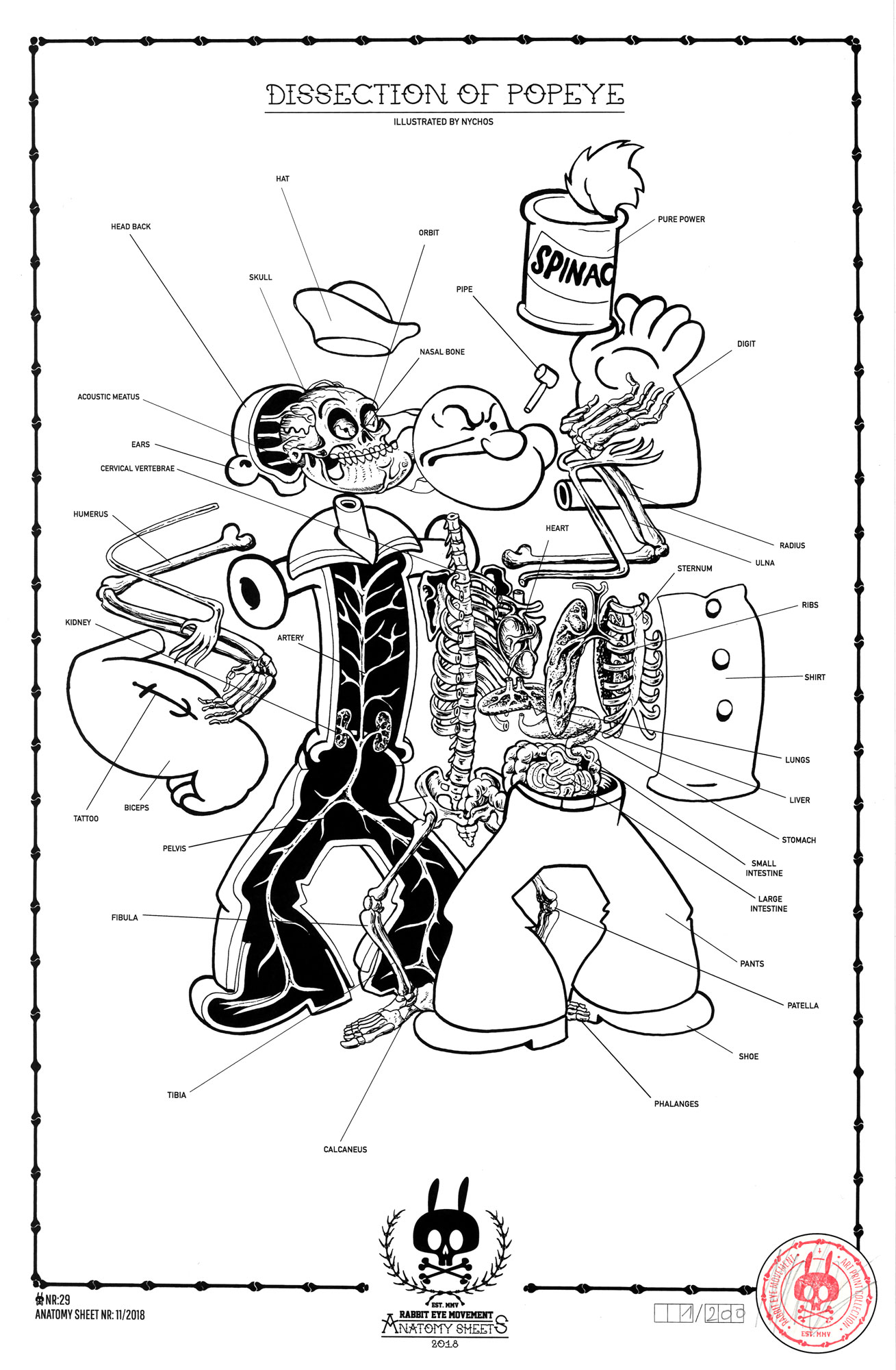 DISSECTION OF POPEYE- ANATOMY SHEET NO. 29 | Prints | Rabbit Eye ...